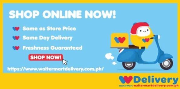 Grocery Delivery Apps in the Philippines That Will Deliver Food Right ...