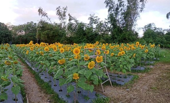 Jala Jala, Rizal: A place hidden with beauty